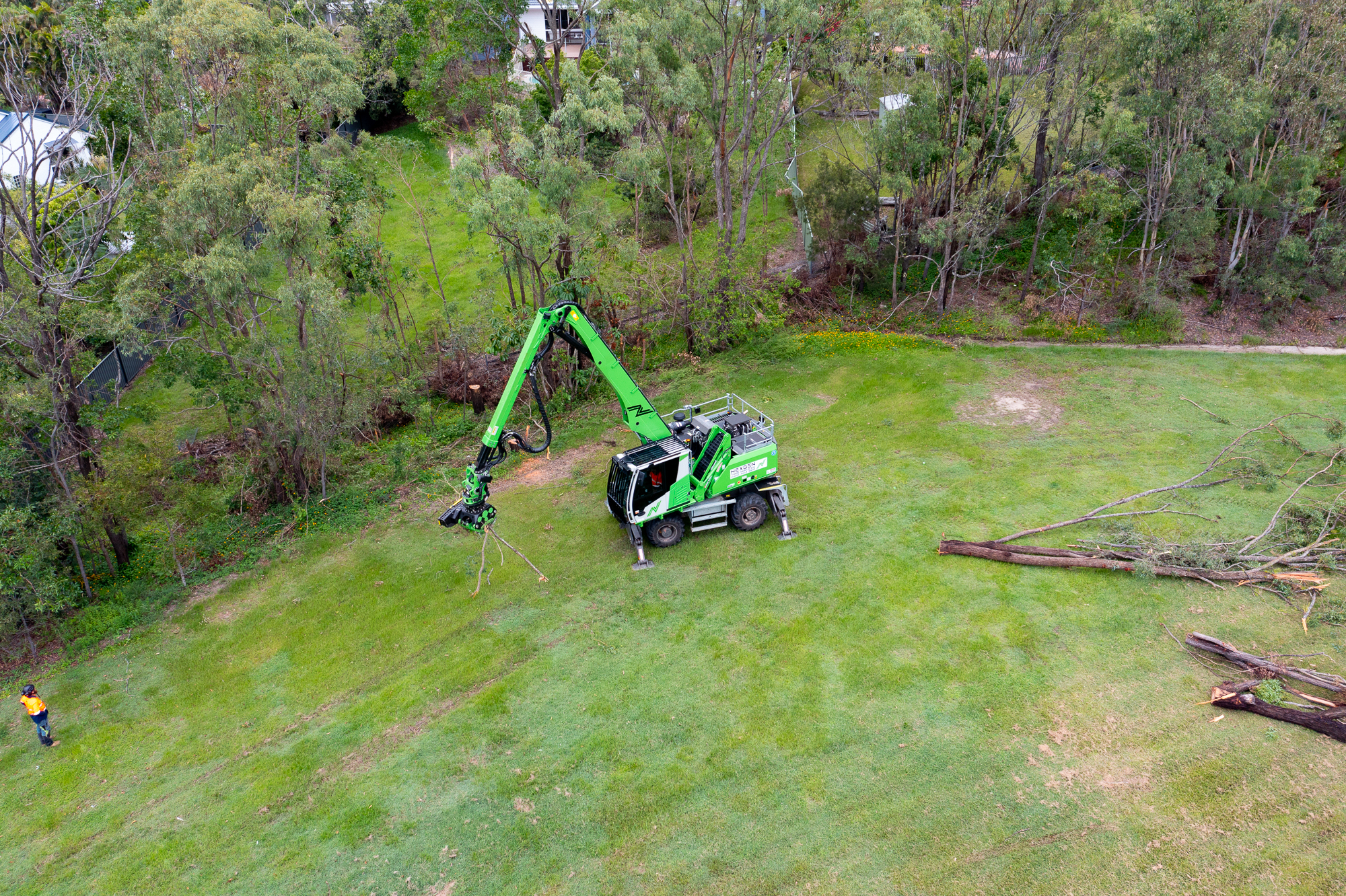 The Best Arborists in the Gold Coast Providing High Quality Tree ...
