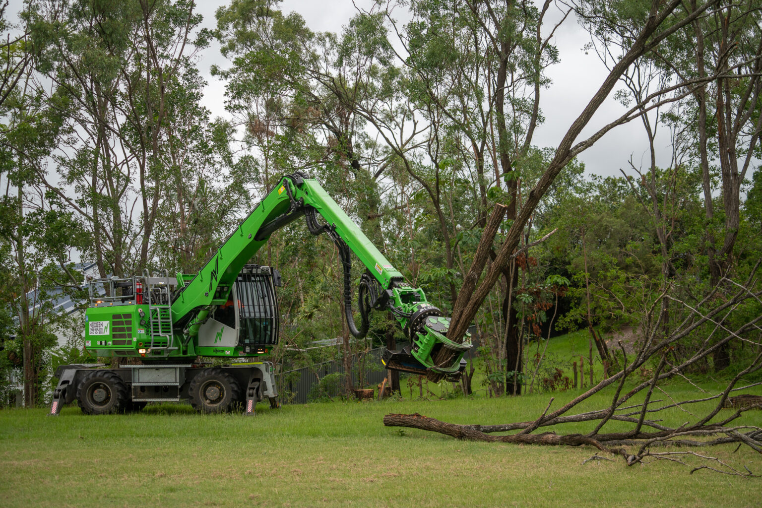 Services | NexGen Tree Services