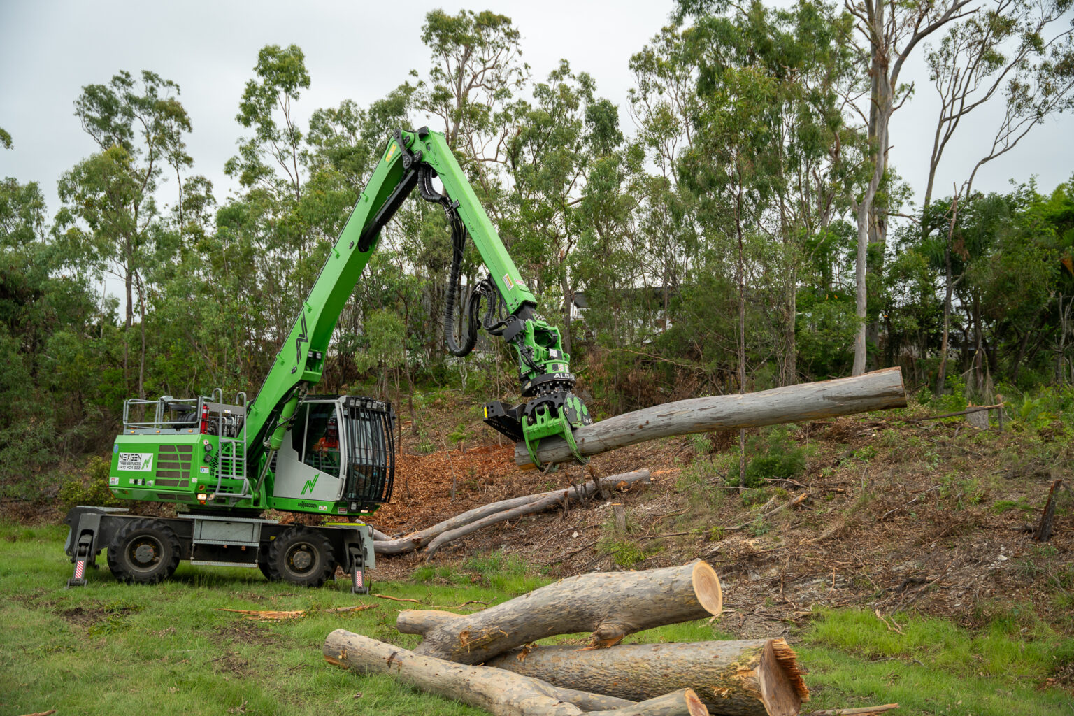 Services – NexGen Tree Services