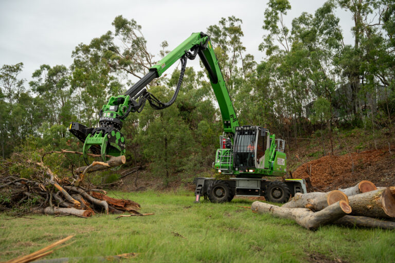 The Best Arborists in the Gold Coast Providing High Quality Tree ...