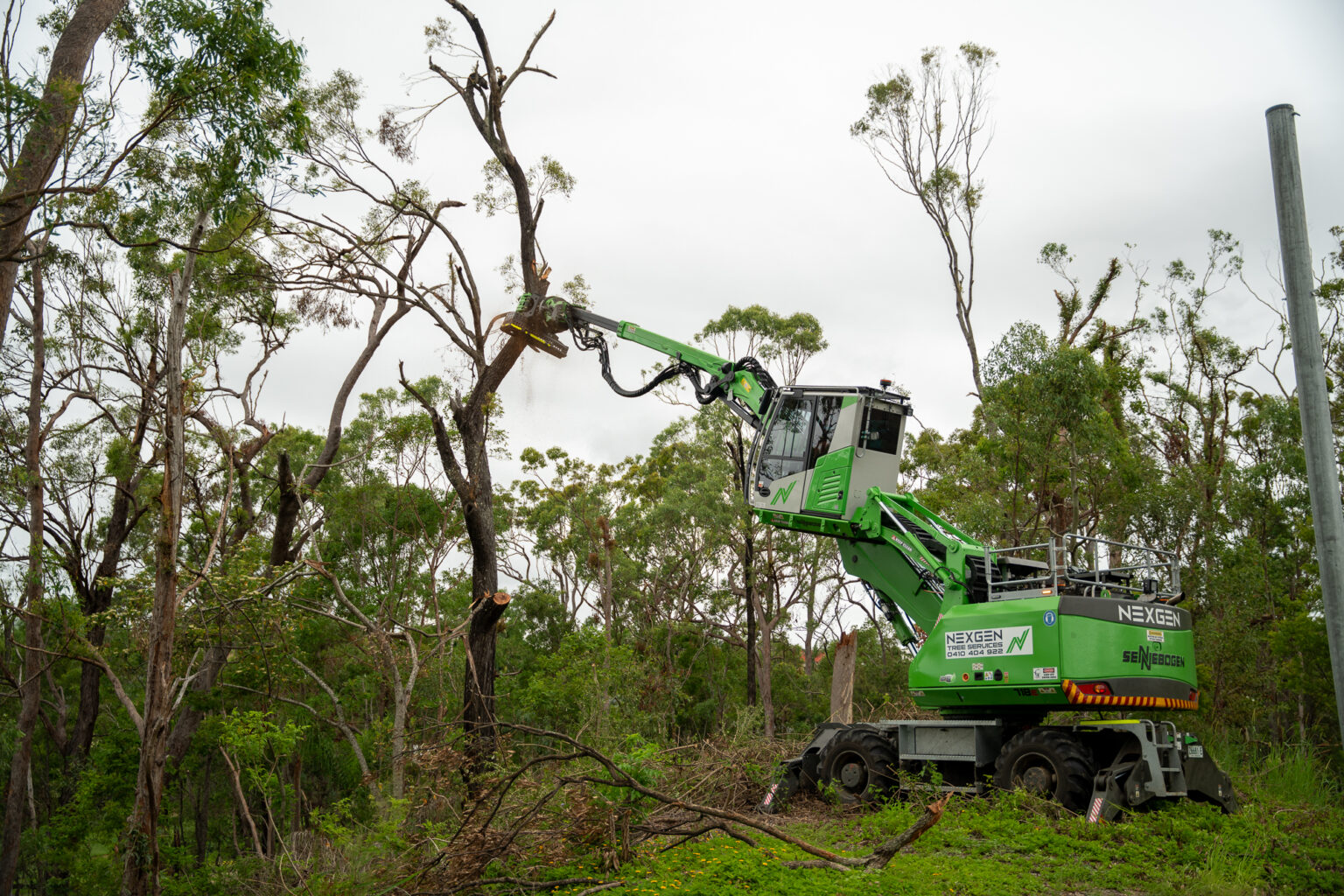 Services | NexGen Tree Services