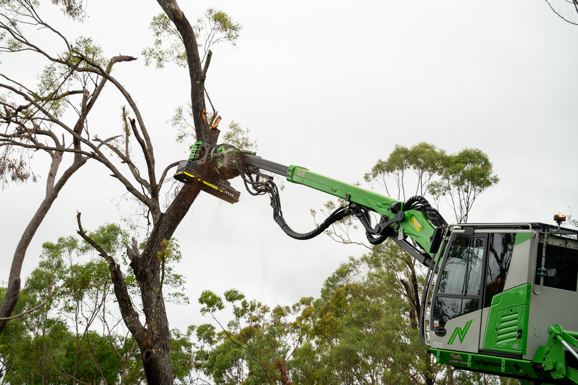 24 Hour Emergency Tree Services – NexGen Tree Services