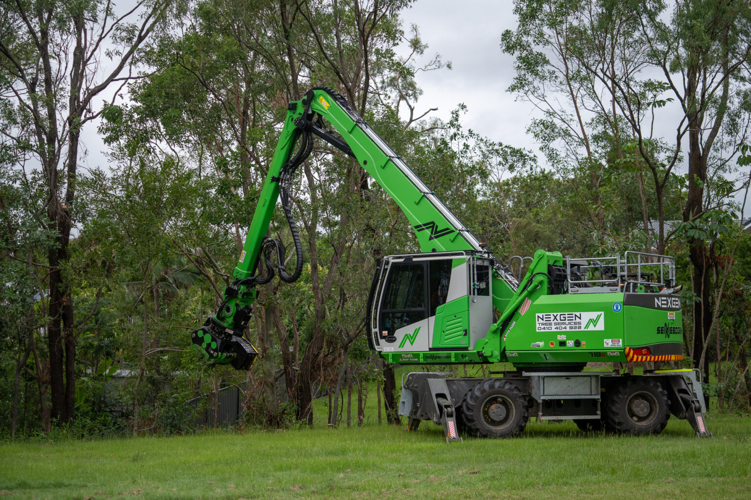 The Best Arborists in the Gold Coast Providing High Quality Tree ...