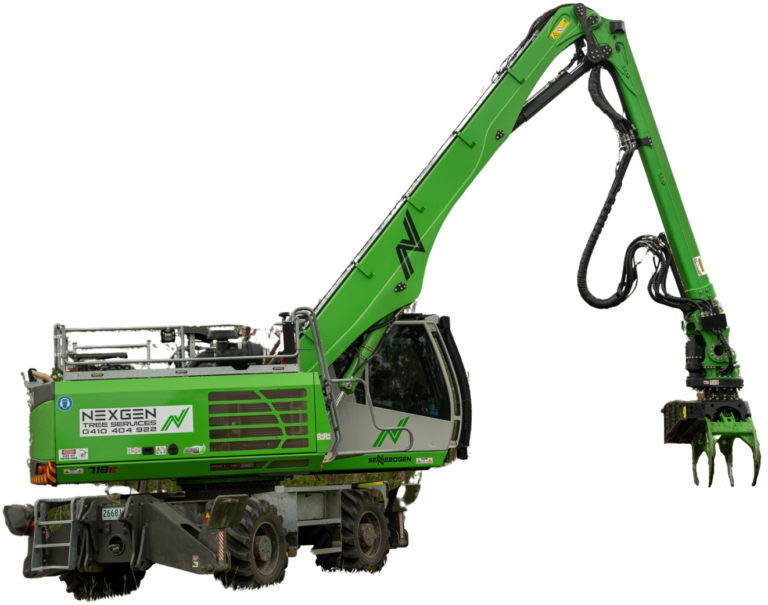 General Tree Services Gold Coast | NexGen Tree Services
