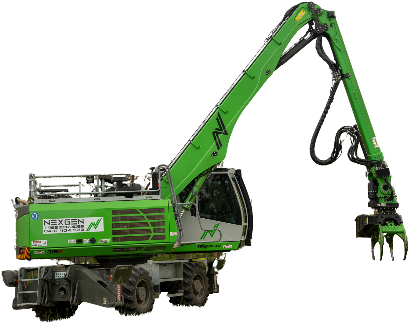 General Tree Services Gold Coast | NexGen Tree Services