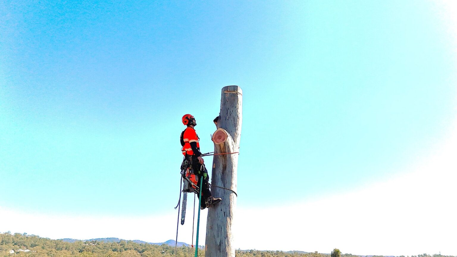 Tree Services - NexGen Tree Services